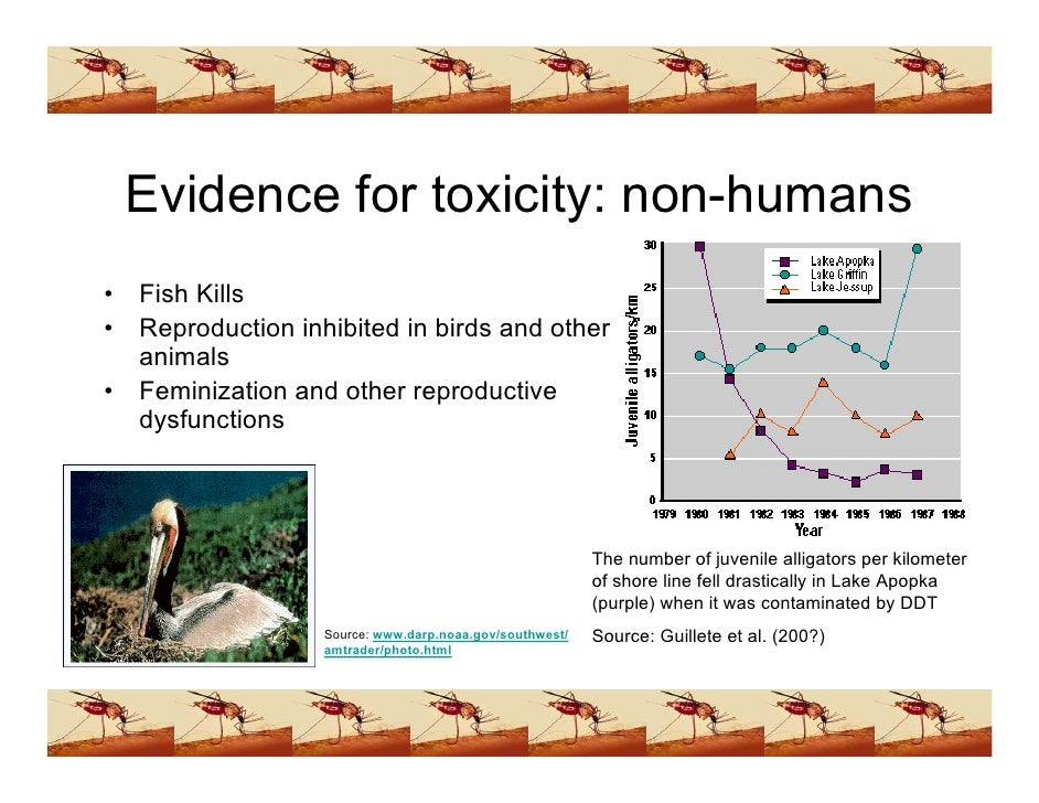 Ddt Presentation (www.bioguruindia.com)