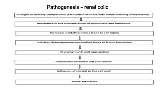 DDx ACUTE APPENDICITIS AND KIDNEY STONE.ru.en.pptx