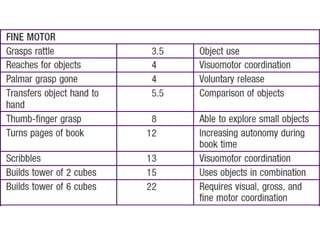 Developmental Milestones - Nelson | PPTX
