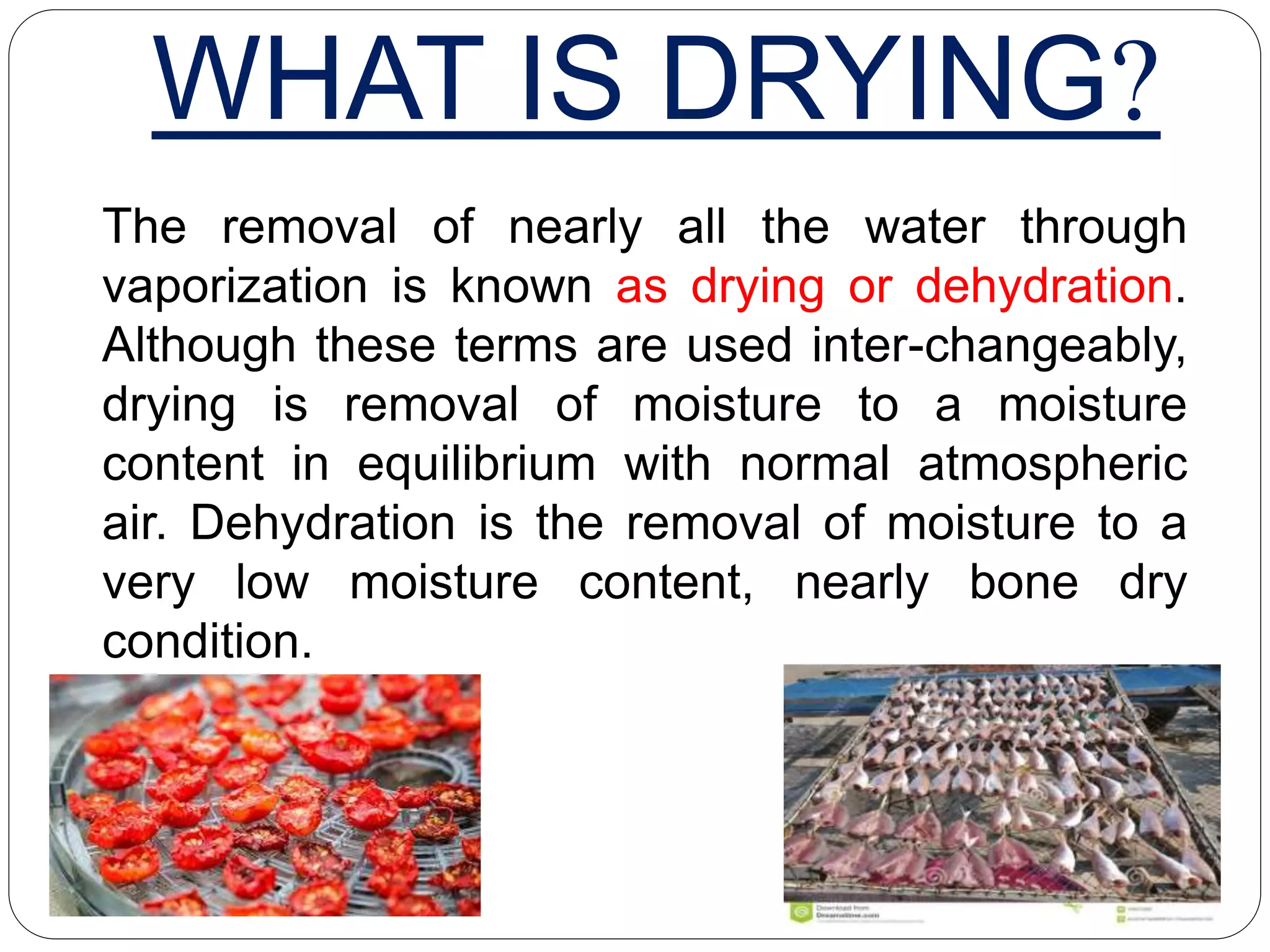 spray Drier with fluidized bed drier | PPTX