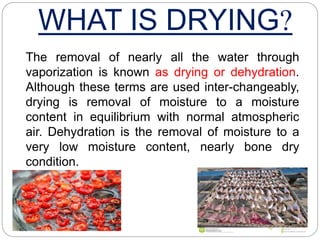 spray Drier with fluidized bed drier | PPTX