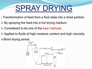 spray Drier with fluidized bed drier | PPTX