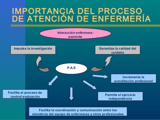 Mapa Conceptual De Enfermeria Como Profesion - farez