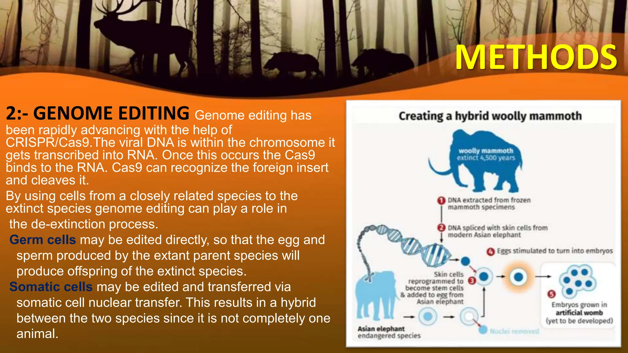 De-Extinction (Bringing Extinct Species Back To Life).pptx