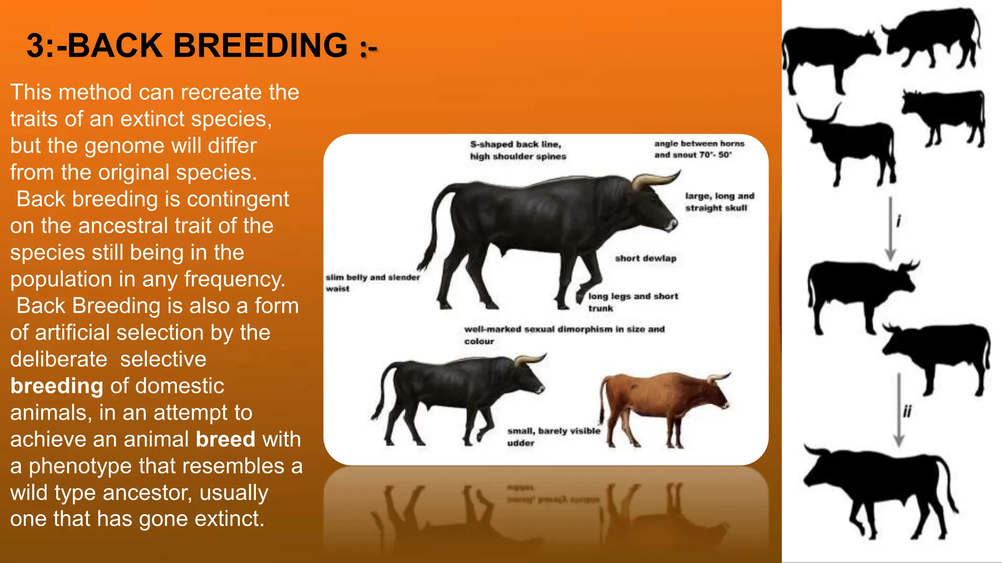 De-Extinction (Bringing Extinct Species Back To Life).pptx