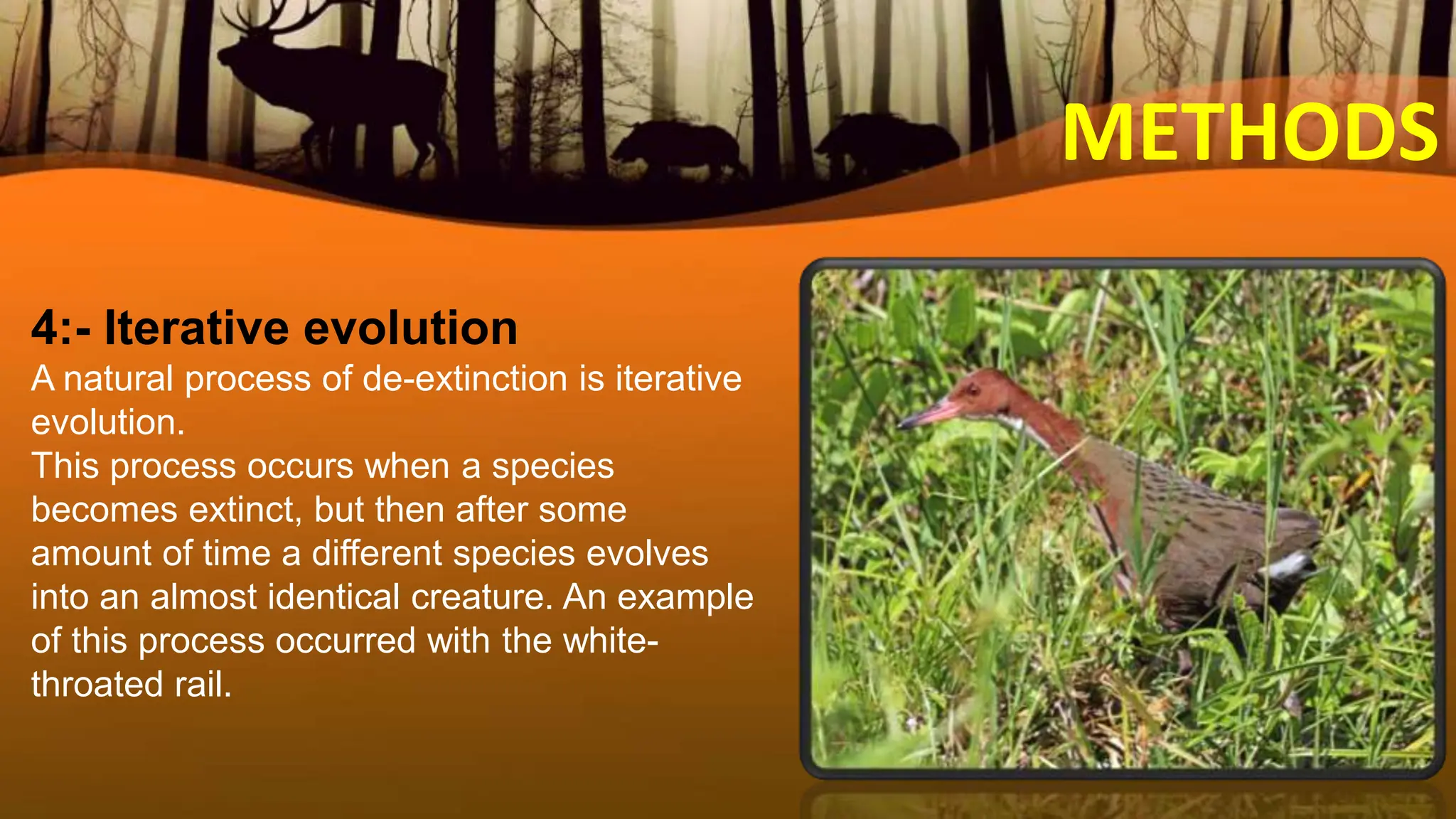 De-Extinction (Bringing Extinct Species Back To Life).pptx