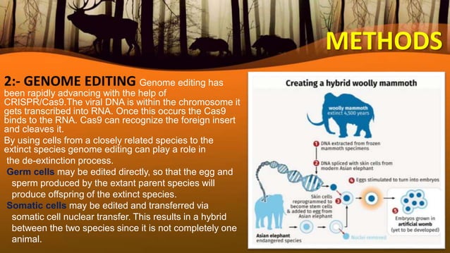 De-Extinction (Bringing Extinct Species Back To Life).pptx