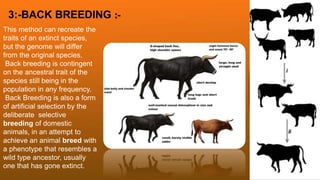 De-Extinction (Bringing Extinct Species Back To Life).pptx