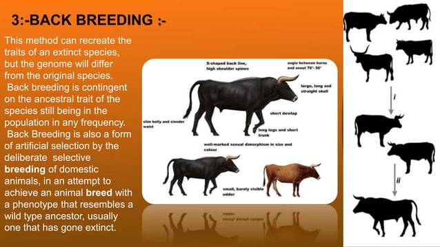 De-Extinction (Bringing Extinct Species Back To Life).pptx