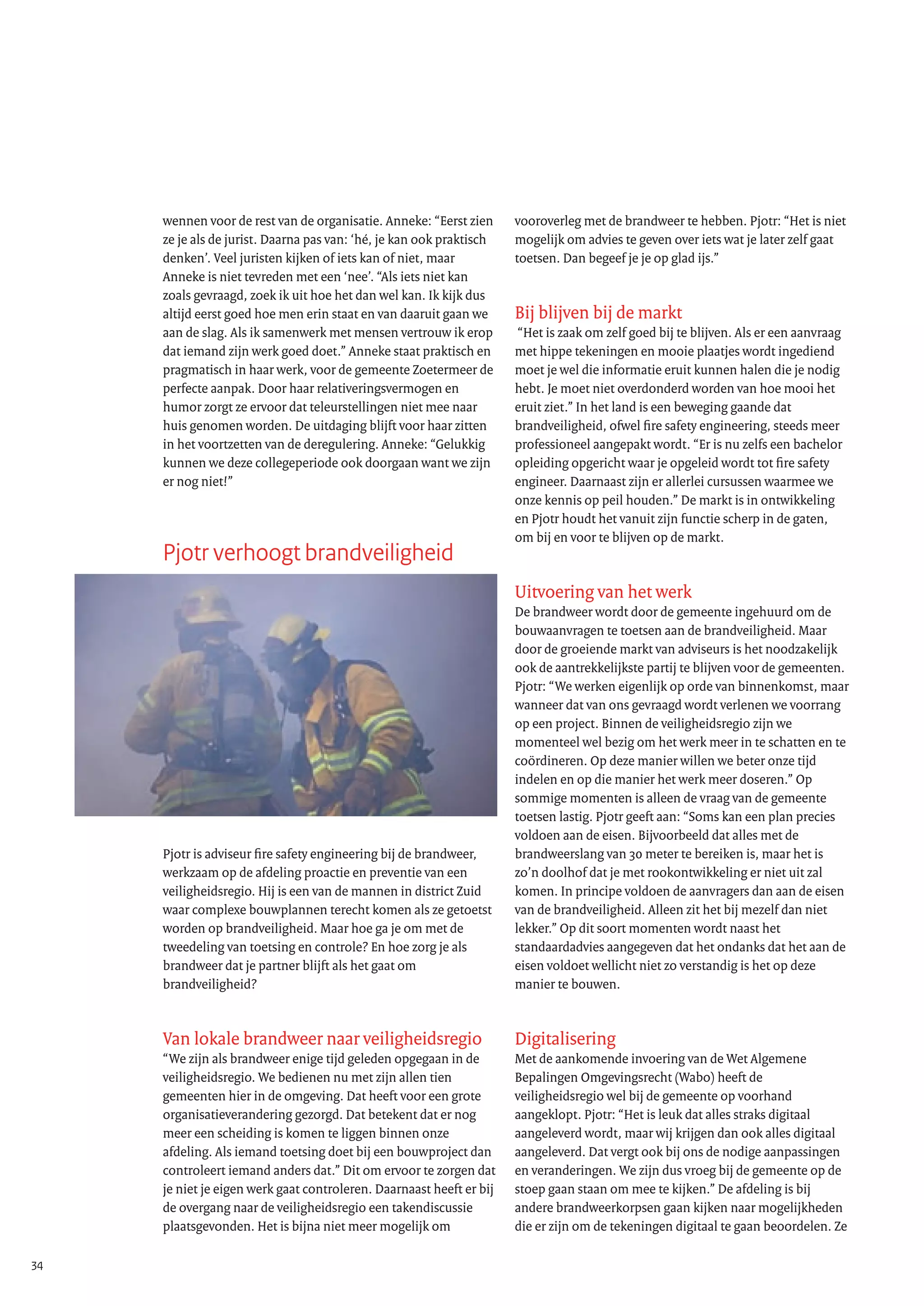 De professionele-professional---arre-zuurmond-definitief | PDF