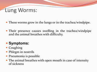 De worming of animals | PPTX
