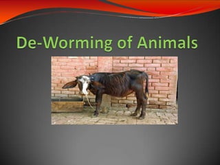 De-worming of animals with deworming schedule.pptx