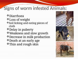 De-worming of animals with deworming schedule.pptx