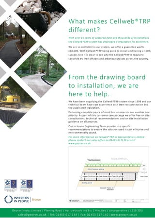 Brochure - Cellweb TRP 2 Page | PDF