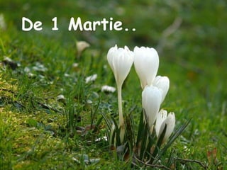 1 Martie | PPS