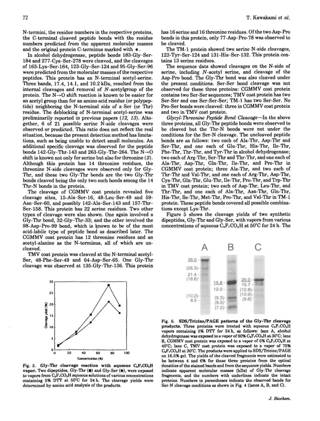Bond-Specific Chemical Cleavages of Peptides & Proteins with Perfluoric ...