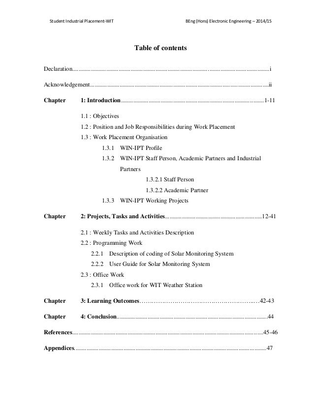 Final Work Placement Report