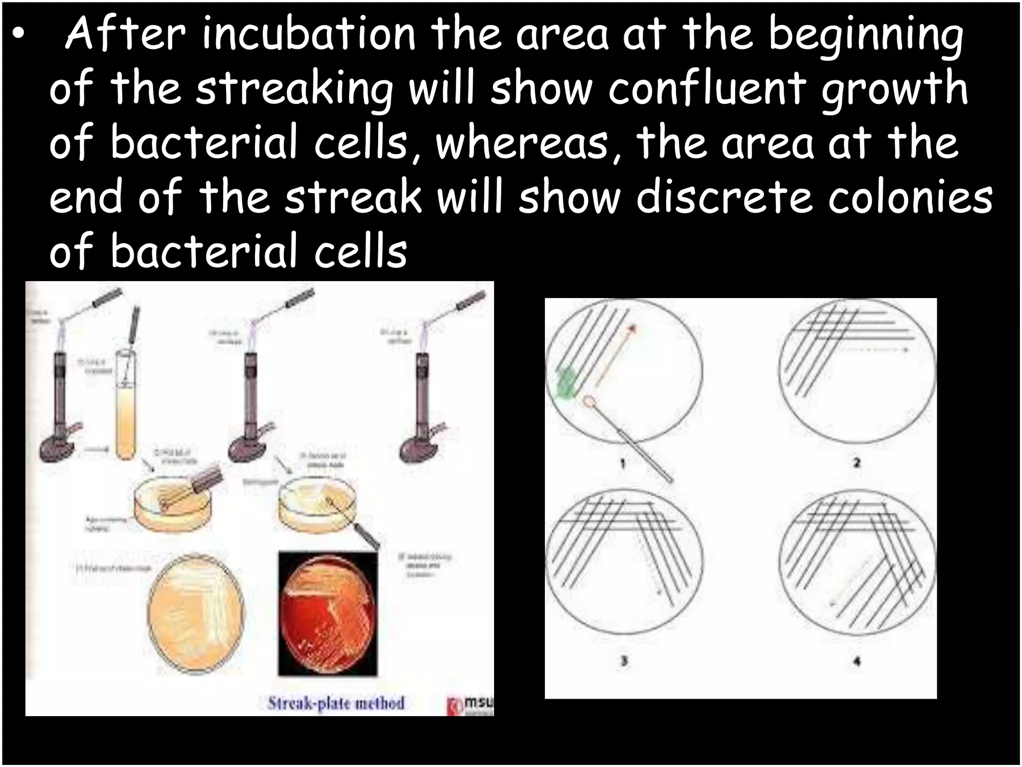 pure culture isolation | PPTX