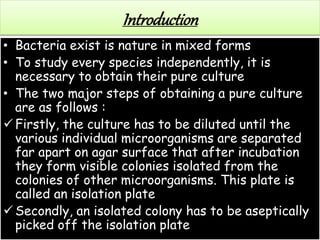 pure culture isolation | PPTX