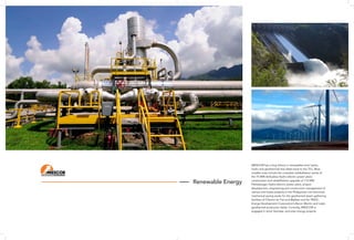 Miescor Brochure 2014 | PDF