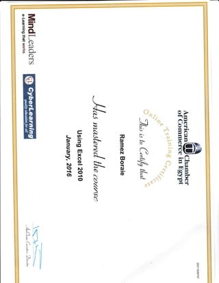 USING EXCEL 2010 CERTIFICATE | PDF