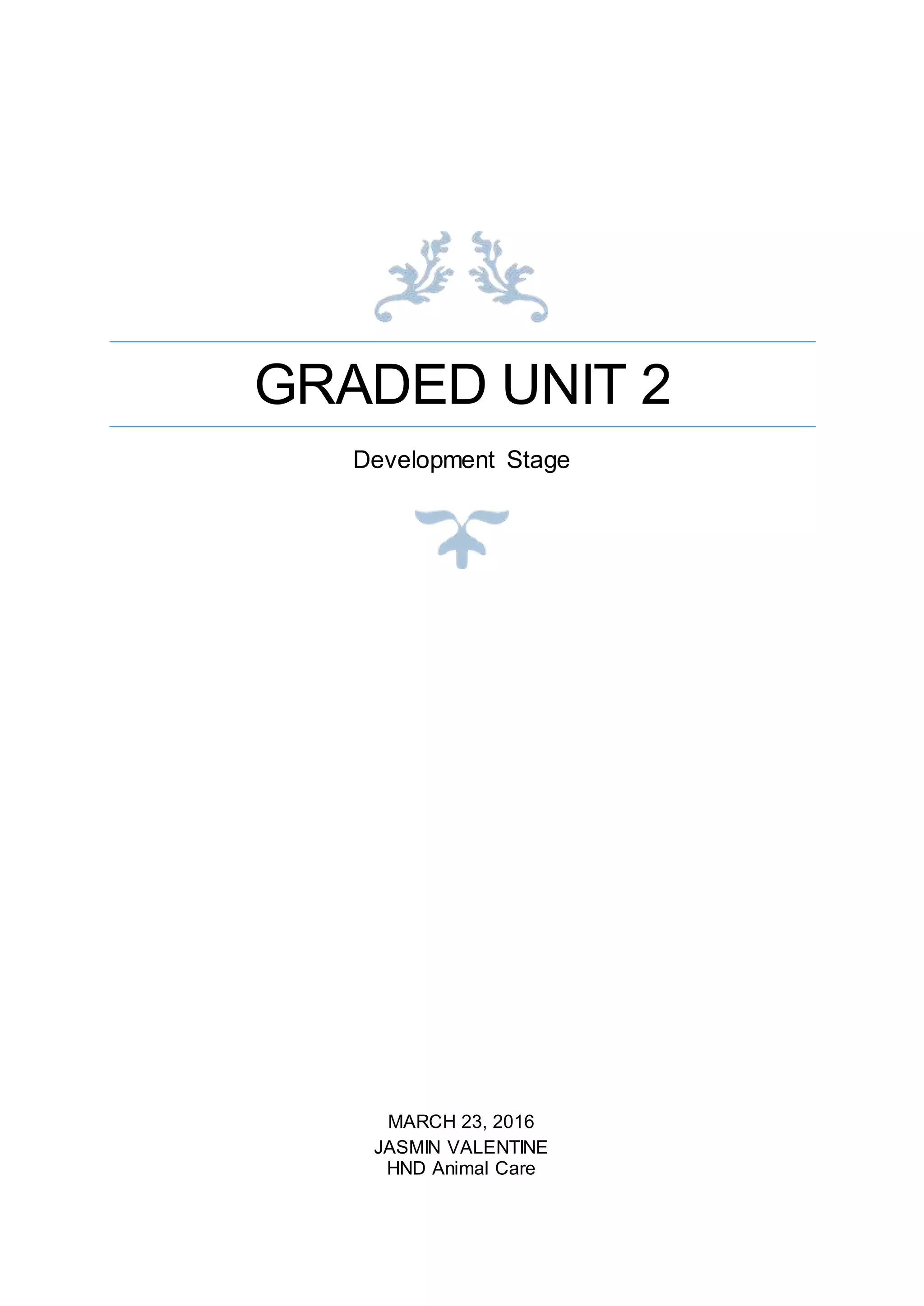 Graded unit 2 - Development Stage | DOCX
