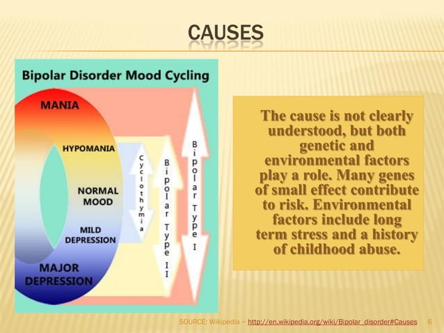 Bipolar Disorder PowerPoint | PDF