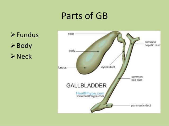EHBA &GALLSTONES
