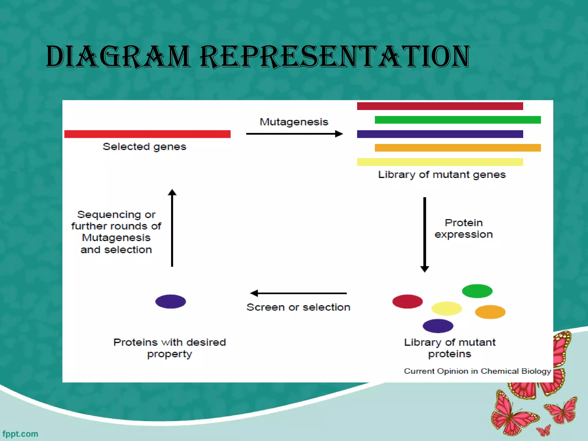 Directed Evolution | PPT