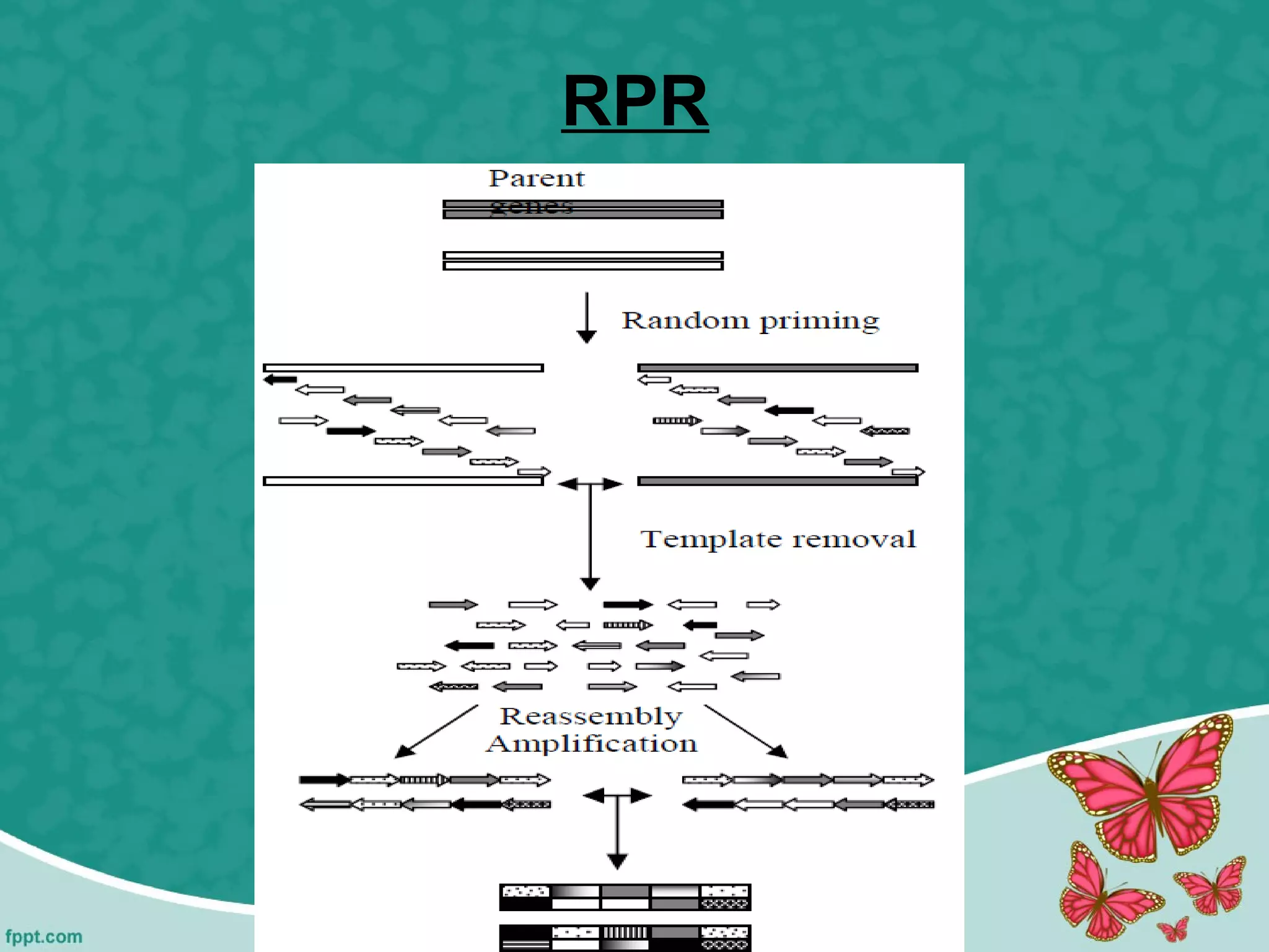 Directed Evolution | PPT