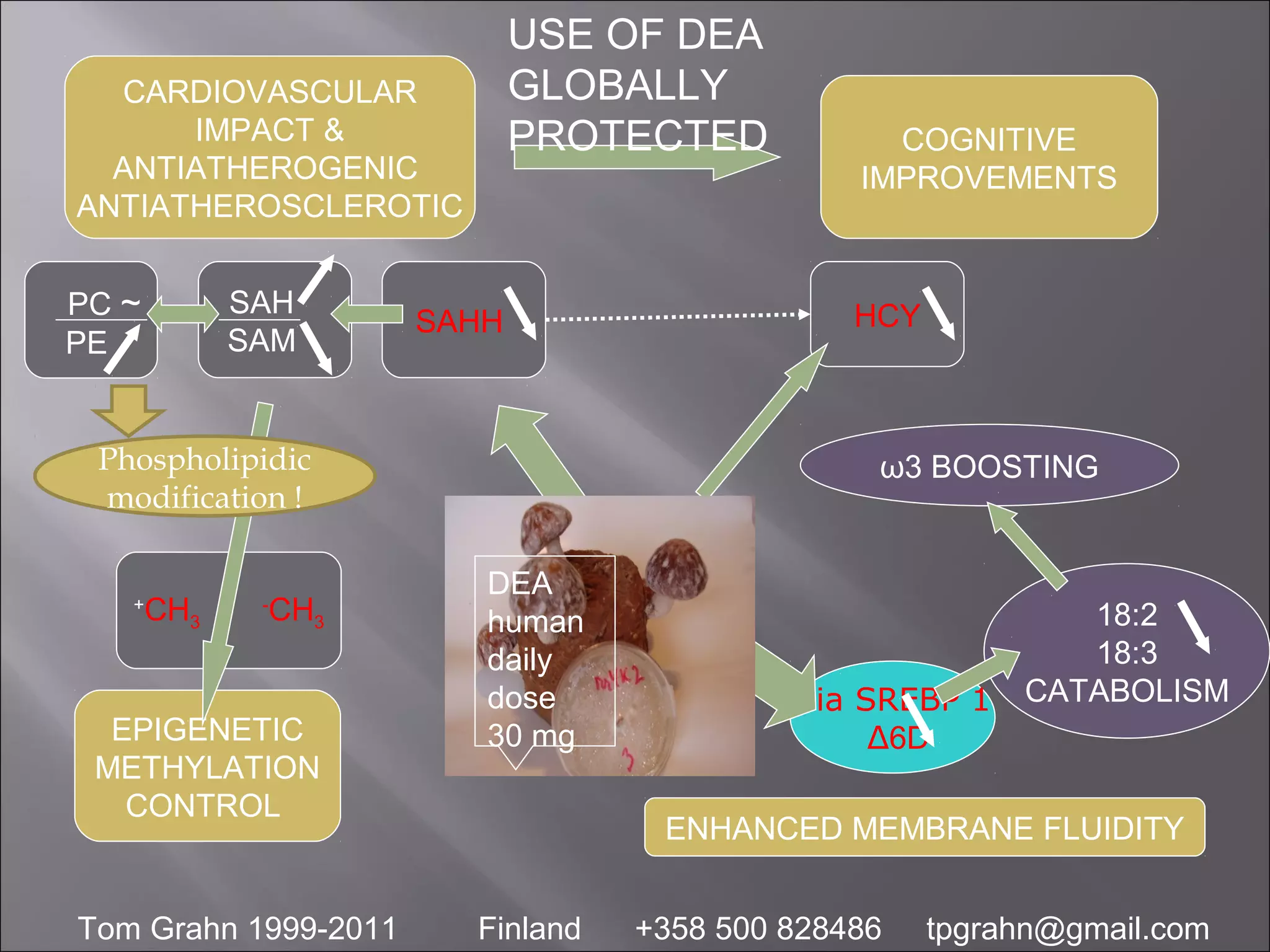 Dea+as+one+page+dia+fall 2015 tom grahn | PPT