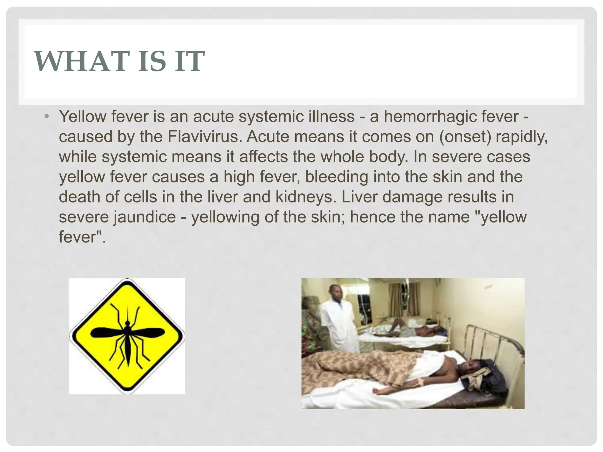 Deadliest Epidemics in History- integradora 9d.pptx