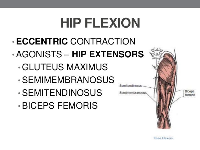 Traditional Dead Lift