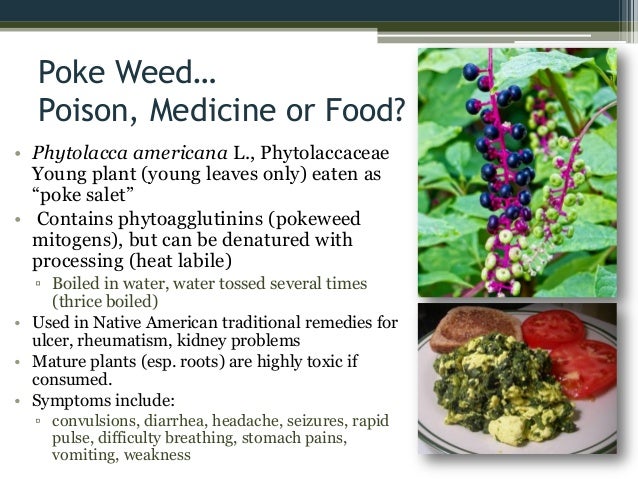 Fernbank Museum Lecture: Deadly cures - 2015