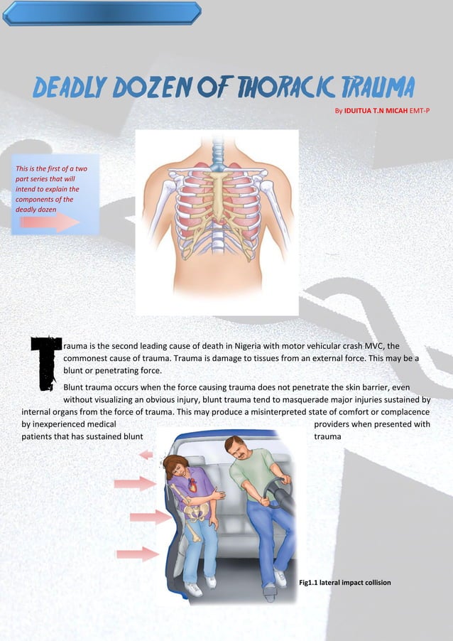Deadly dozen | PDF | Death, Injury, or Military Conflict | Sensitive Topics