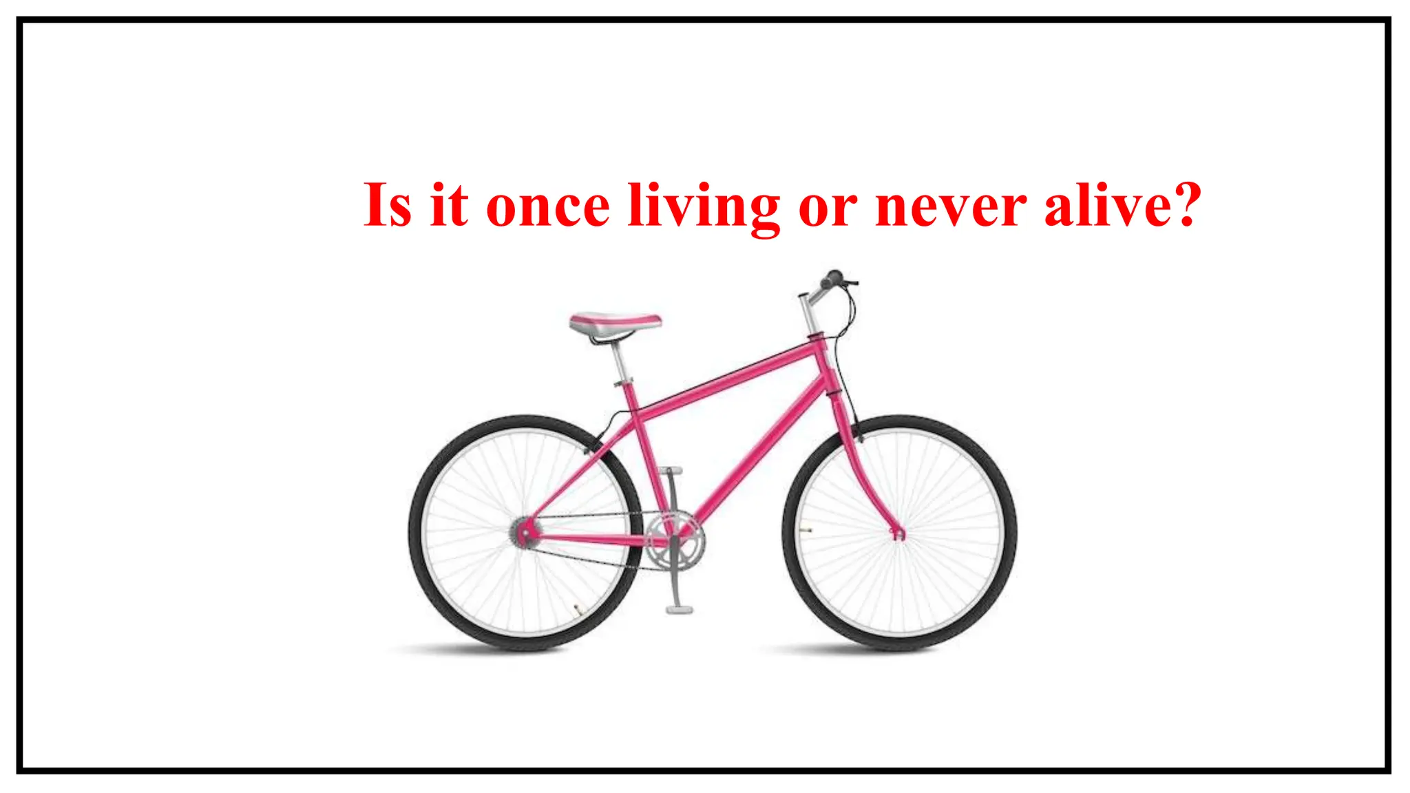 Dead or Never alive powerpoint with colorful and attractive pictures | PPTX