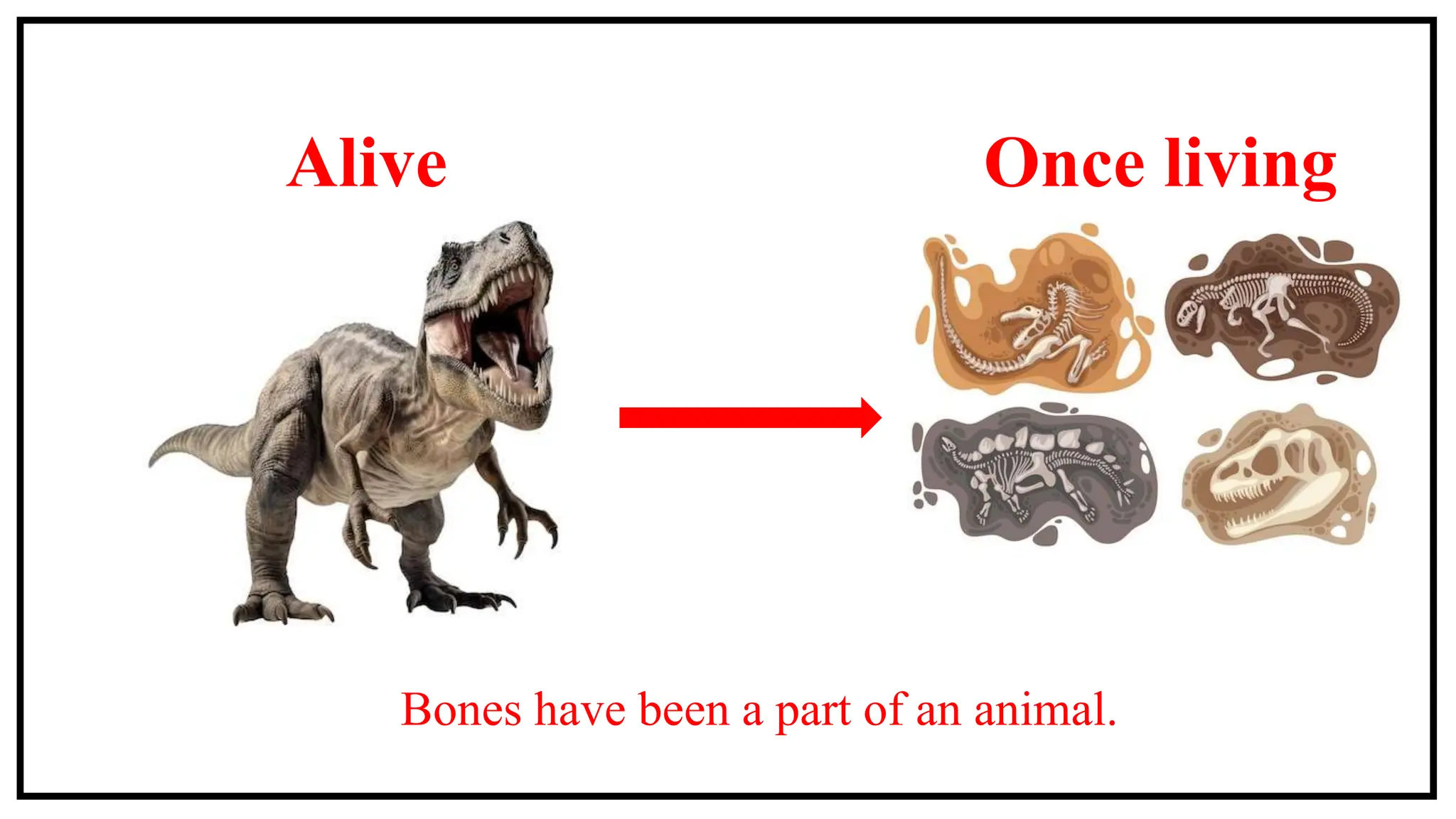 Dead or Never alive powerpoint with colorful and attractive pictures | PPTX