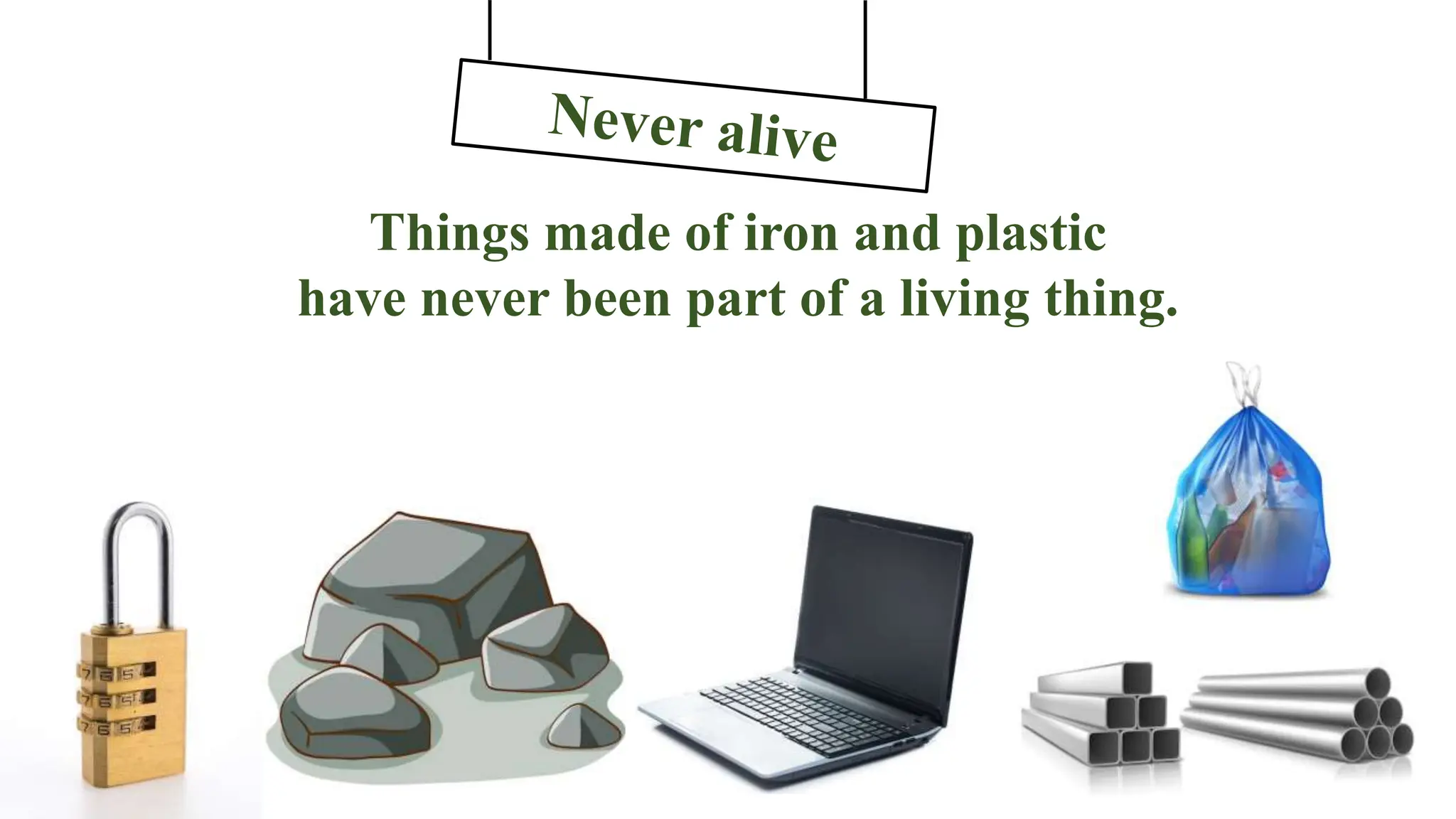 Dead or Never alive powerpoint with colorful and attractive pictures | PPTX