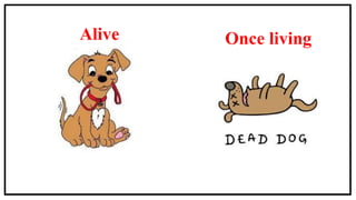 Dead or Never alive powerpoint with colorful and attractive pictures | PPTX