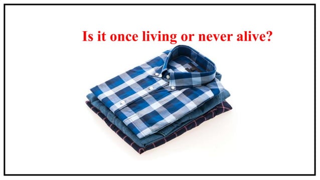 Dead or Never alive powerpoint with colorful and attractive pictures | PPTX