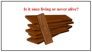 Dead or Never alive powerpoint with colorful and attractive pictures | PPTX