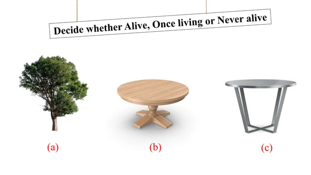 Dead or Never alive powerpoint with colorful and attractive pictures | PPTX