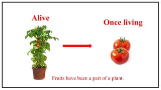 Dead or Never alive powerpoint with colorful and attractive pictures | PPTX