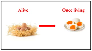 Dead or Never alive powerpoint with colorful and attractive pictures | PPTX