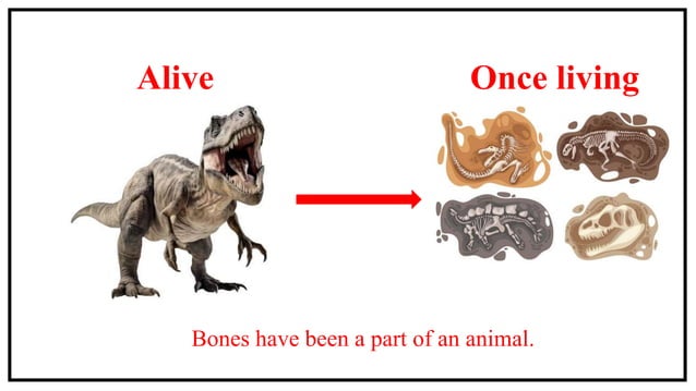 Dead or Never alive powerpoint with colorful and attractive pictures | PPTX