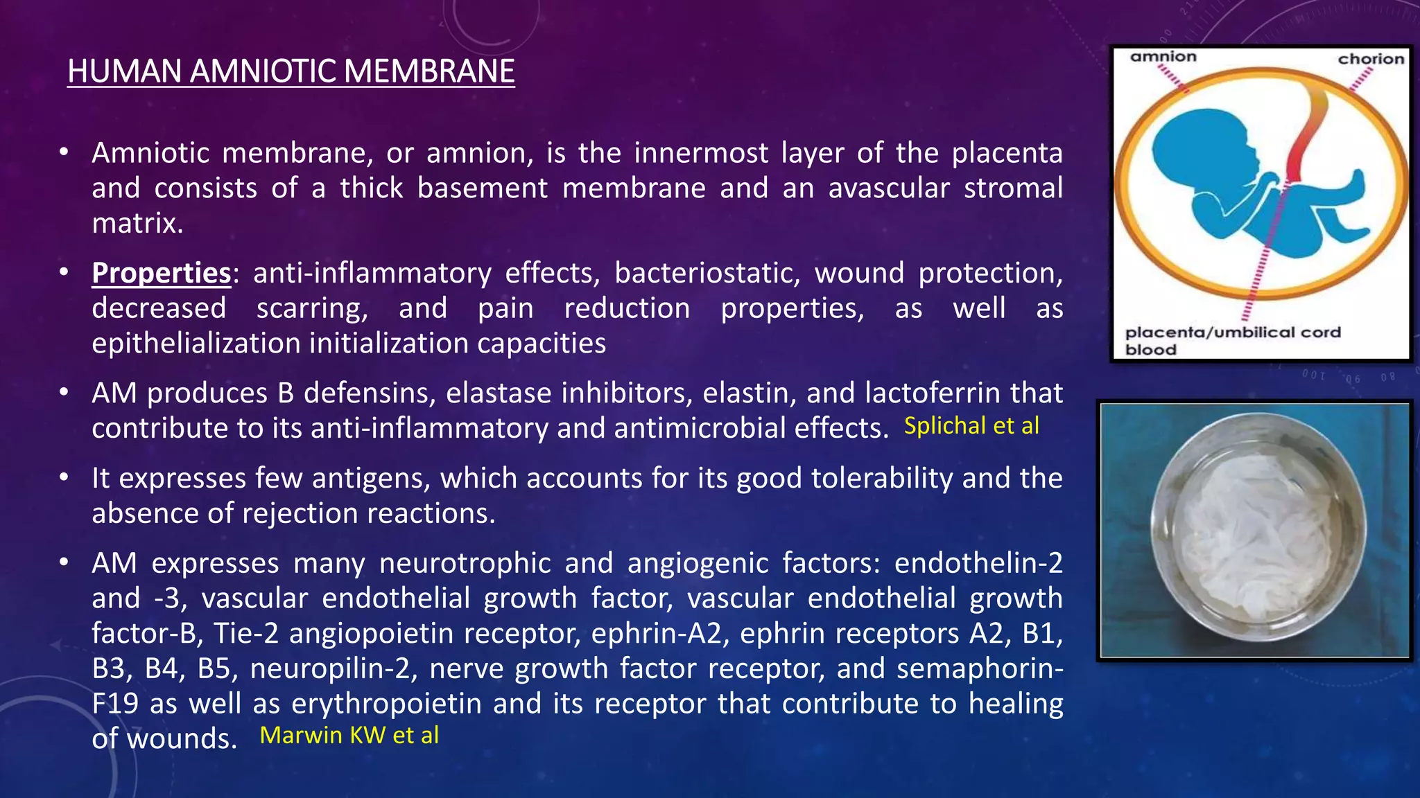 Dead space management | PPTX
