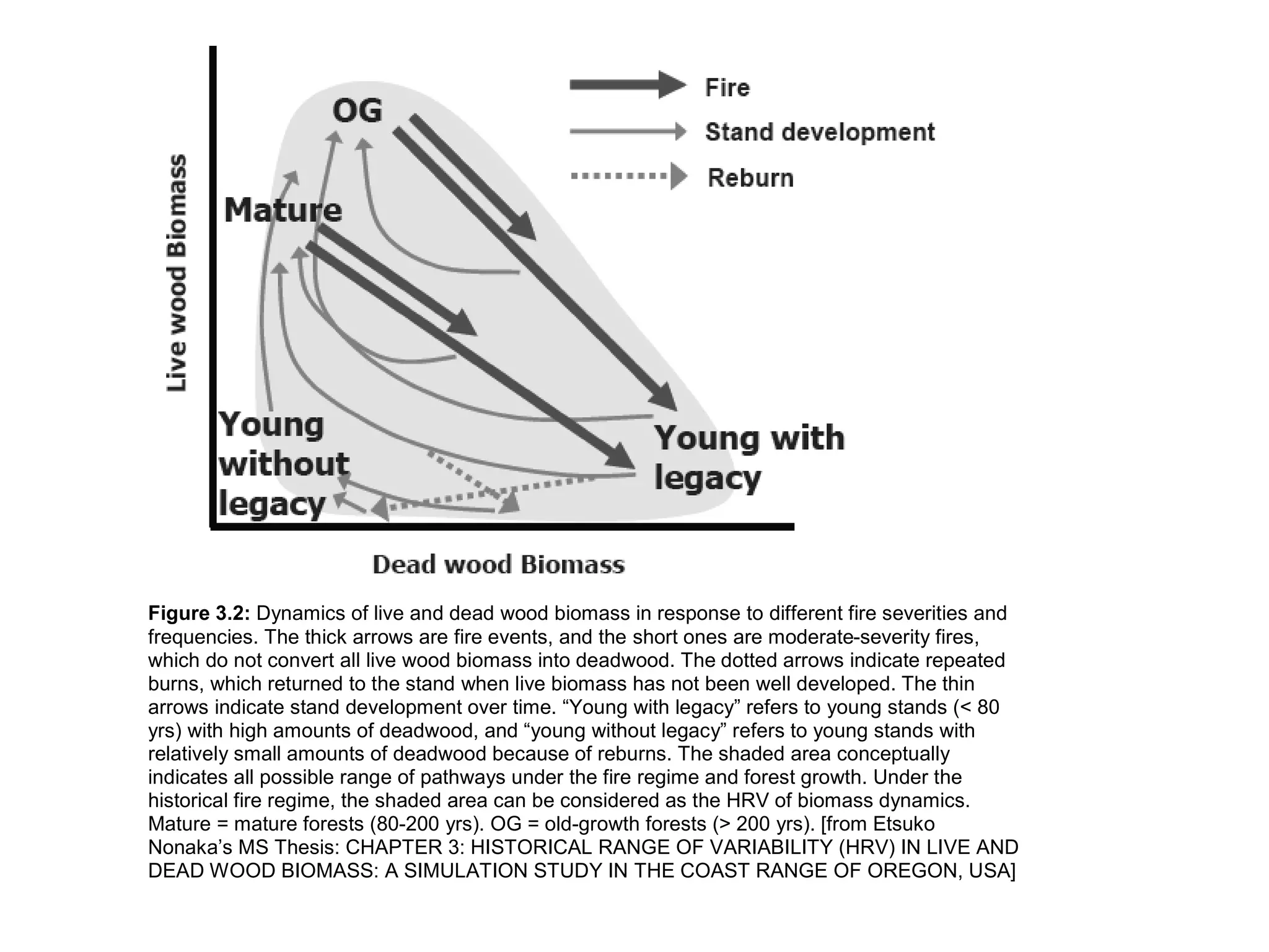 Effects of Logging on Dead Wood Habitat | PPT