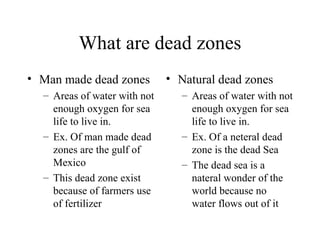 Deadzonesslidep | PPT | Agriculture | Industries