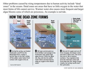 Deadzonesslidep | PPT | Agriculture | Industries