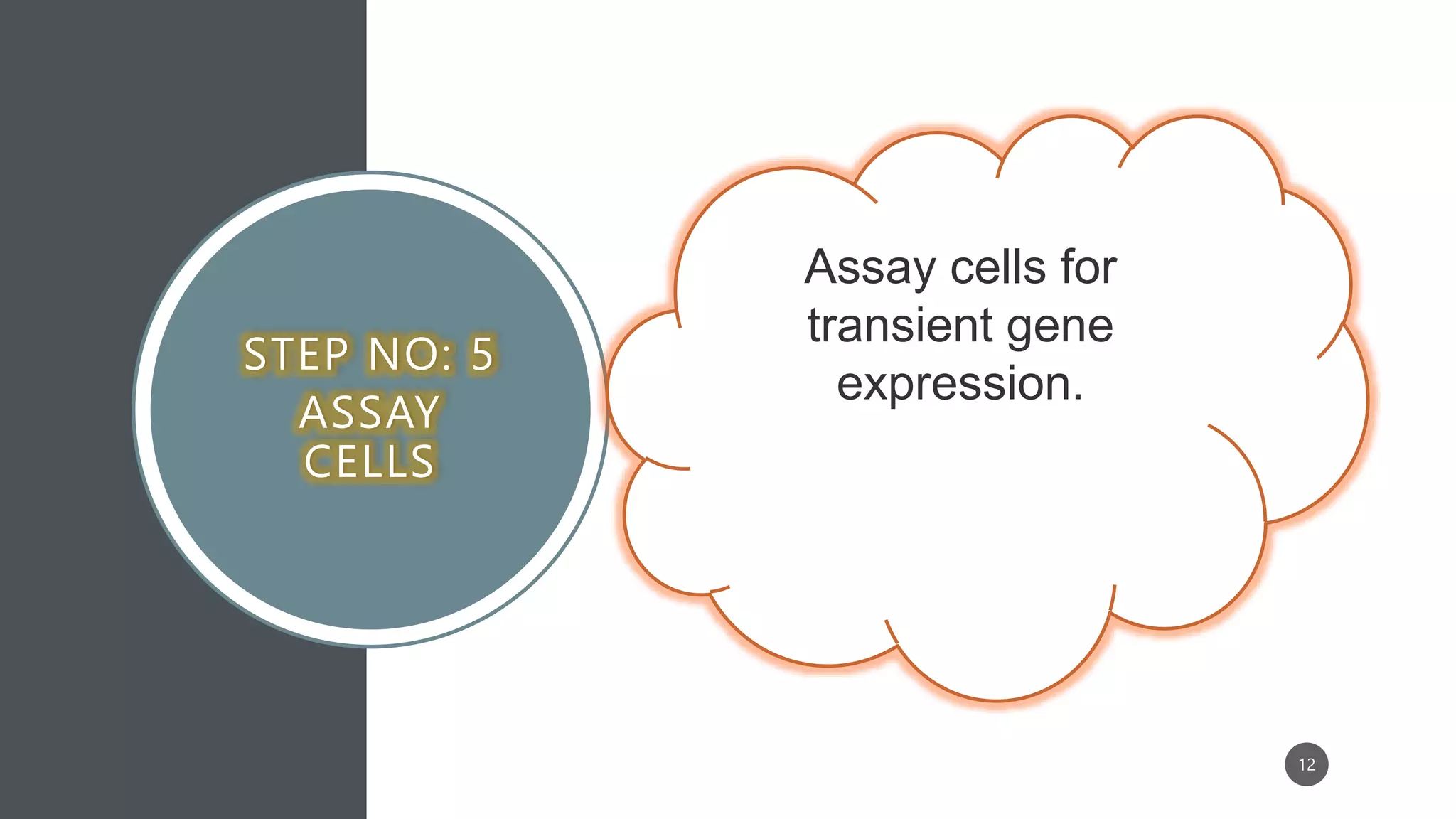 DEAE-Dextran method.pptx